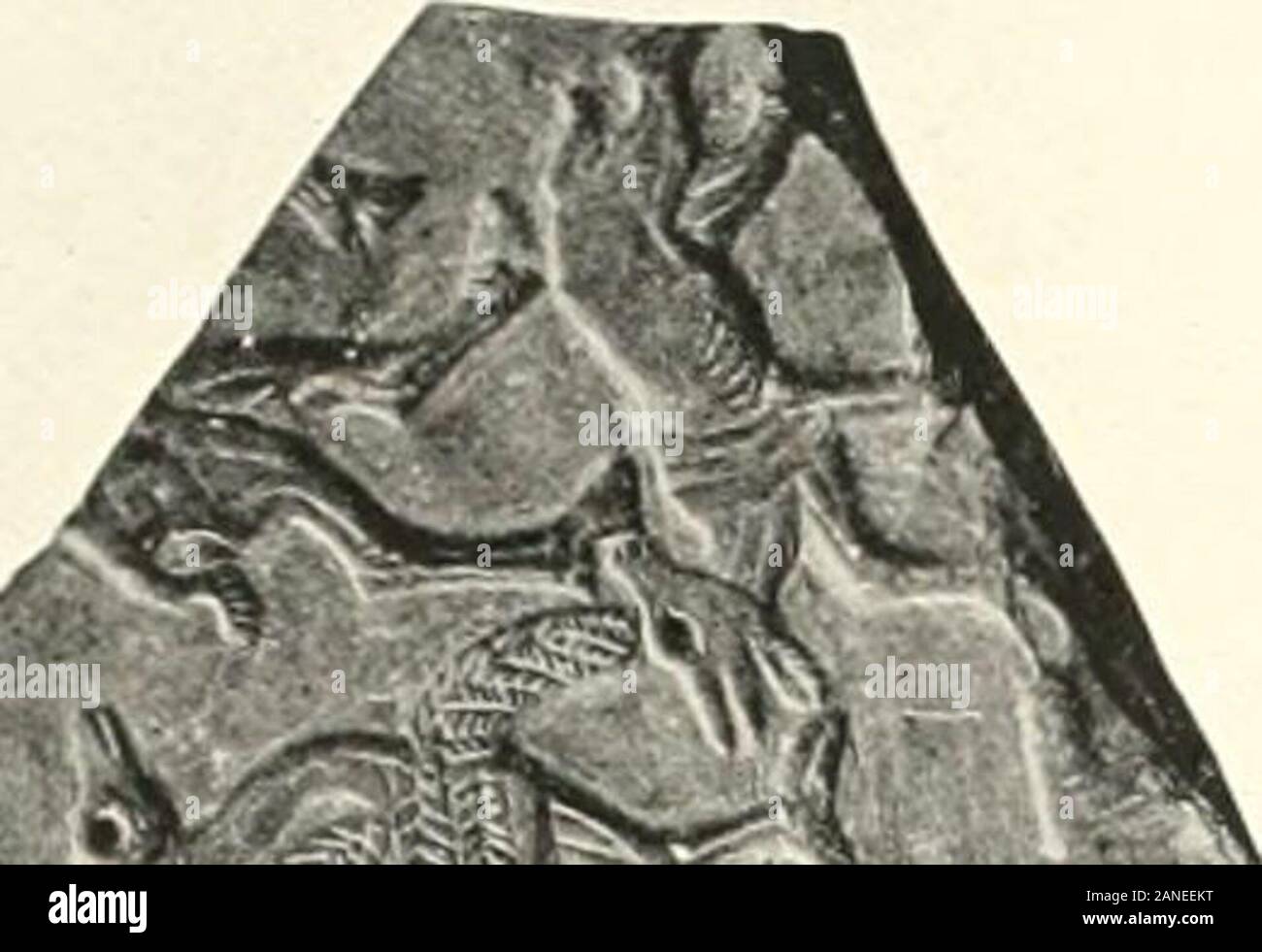 Coptic inscriptions hi-res stock photography and images - Alamy