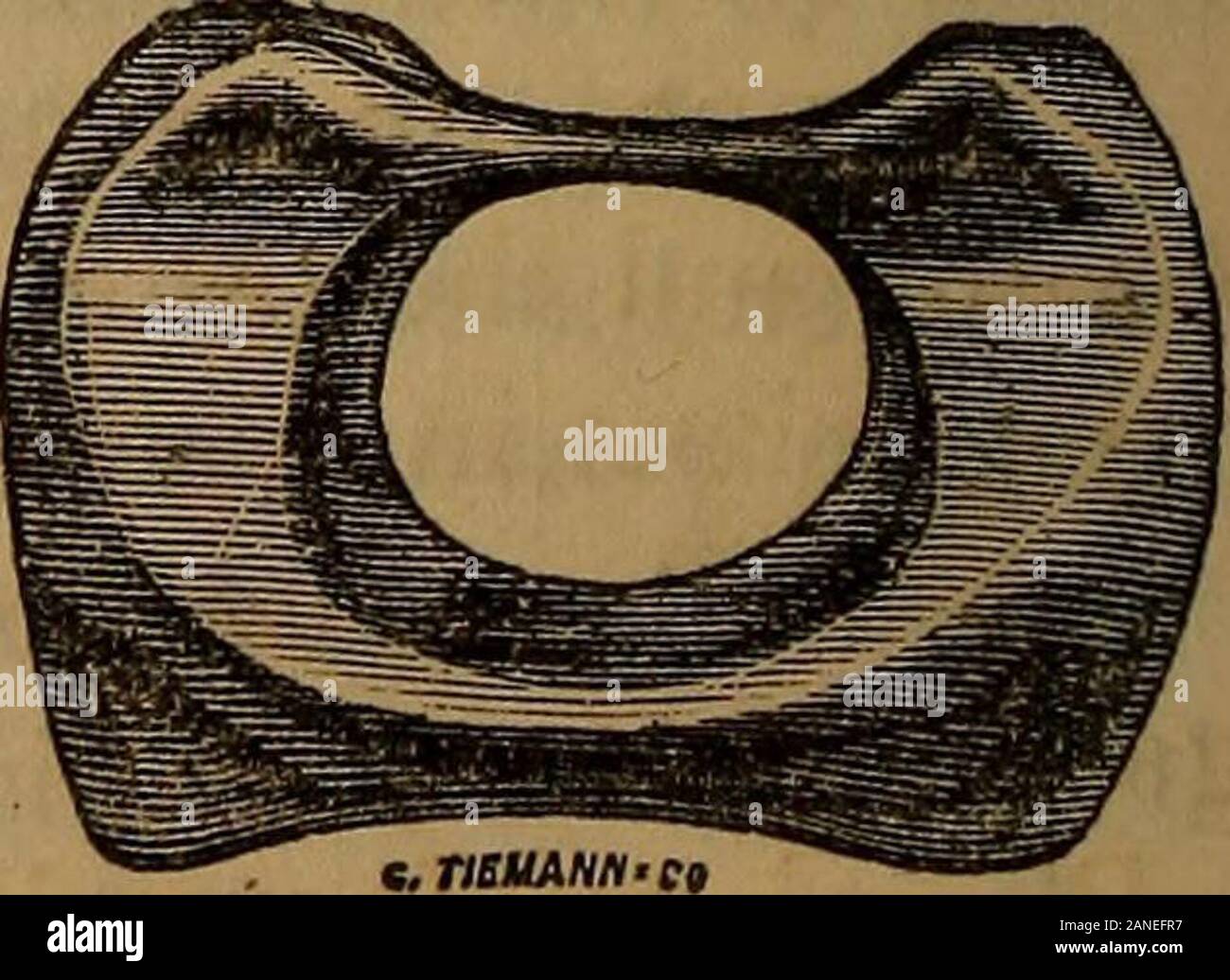 Our home physician: a new and popular guide to the art of preserving ...