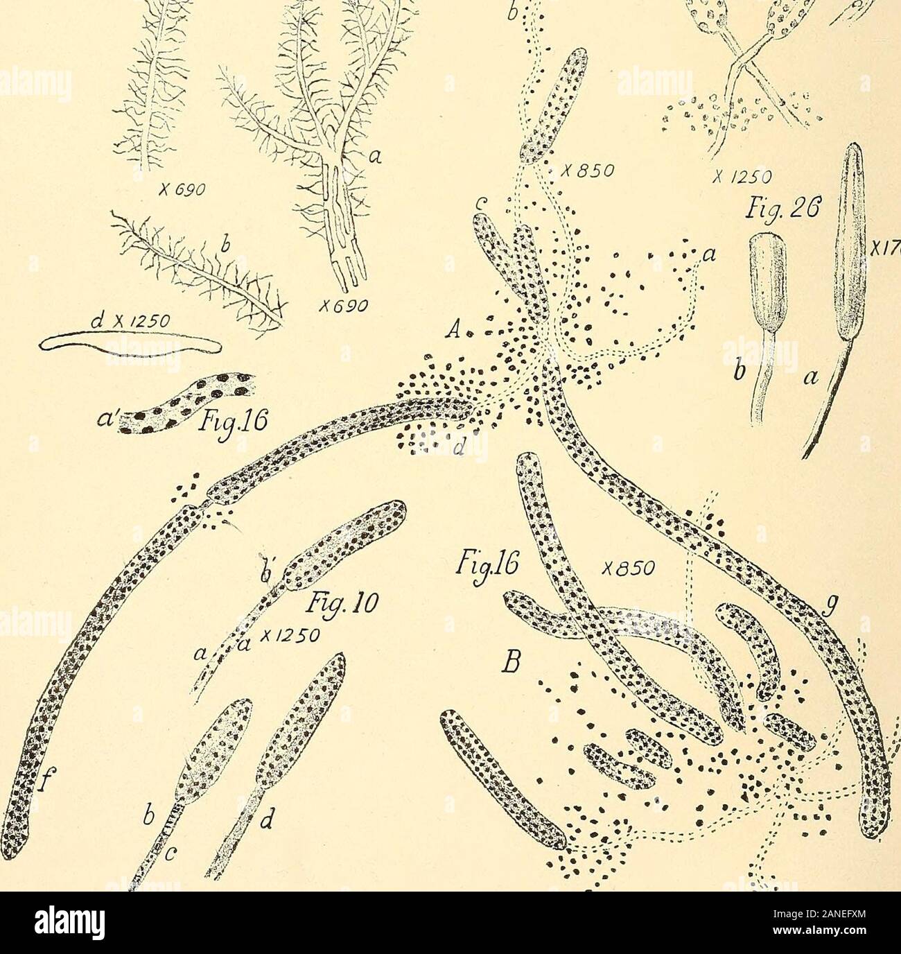 Principles and practice of operative dentistry . W ^ f rf* ^ l^# %24 ...
