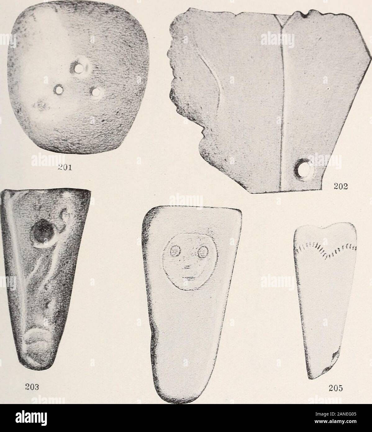 Horn and bone implements of the New York Indians . Plate 21. 204 Plate ...