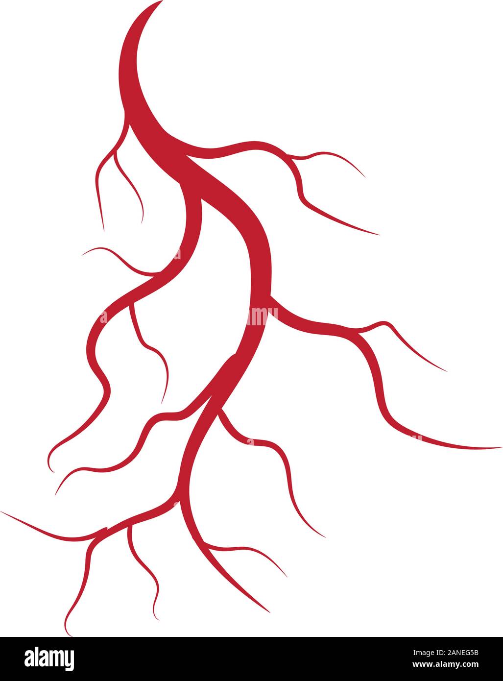 Human veins hi-res stock photography and images - Alamy