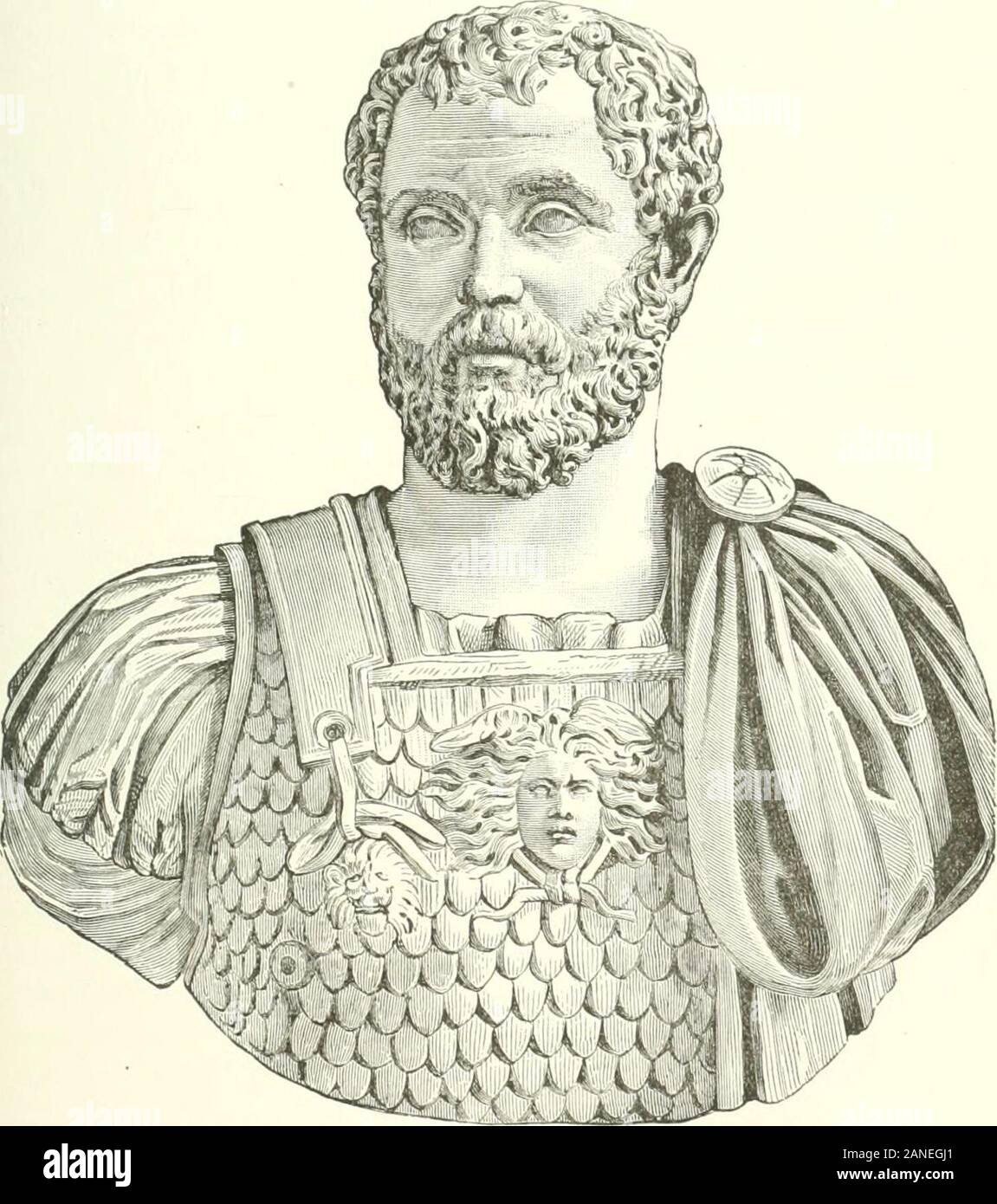 Imp caes hi-res stock photography and images - Alamy