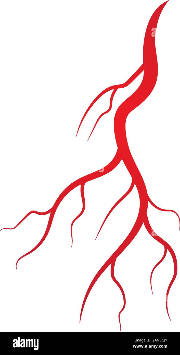 Human veins and arteries illustration design template Stock Vector ...