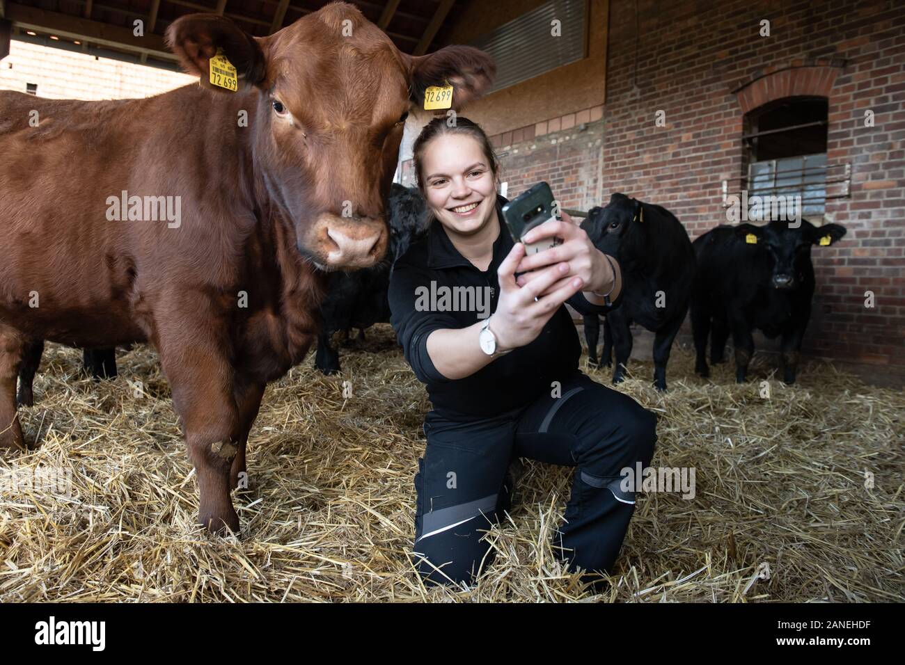 Social media beef hi-res stock photography and images - Alamy