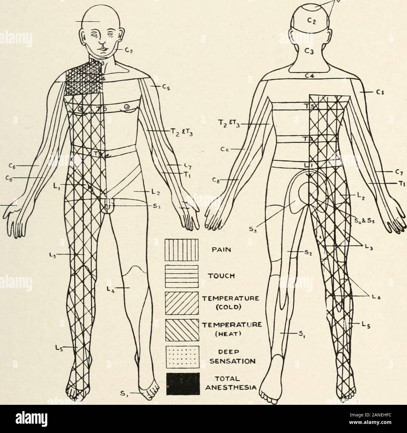AMAarchives of neurology & psychiatry . olled only with muscle grafts ...