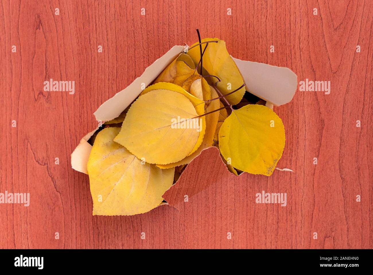 Torn up paper falling hi-res stock photography and images - Alamy