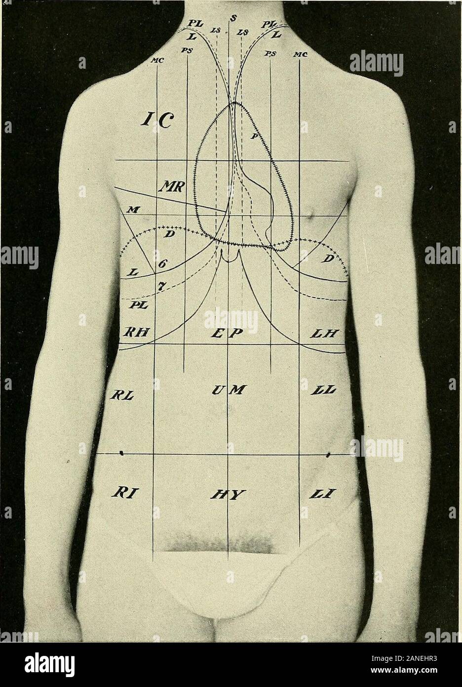 A text-book of clinical anatomy : for students and practitioners . .y ...