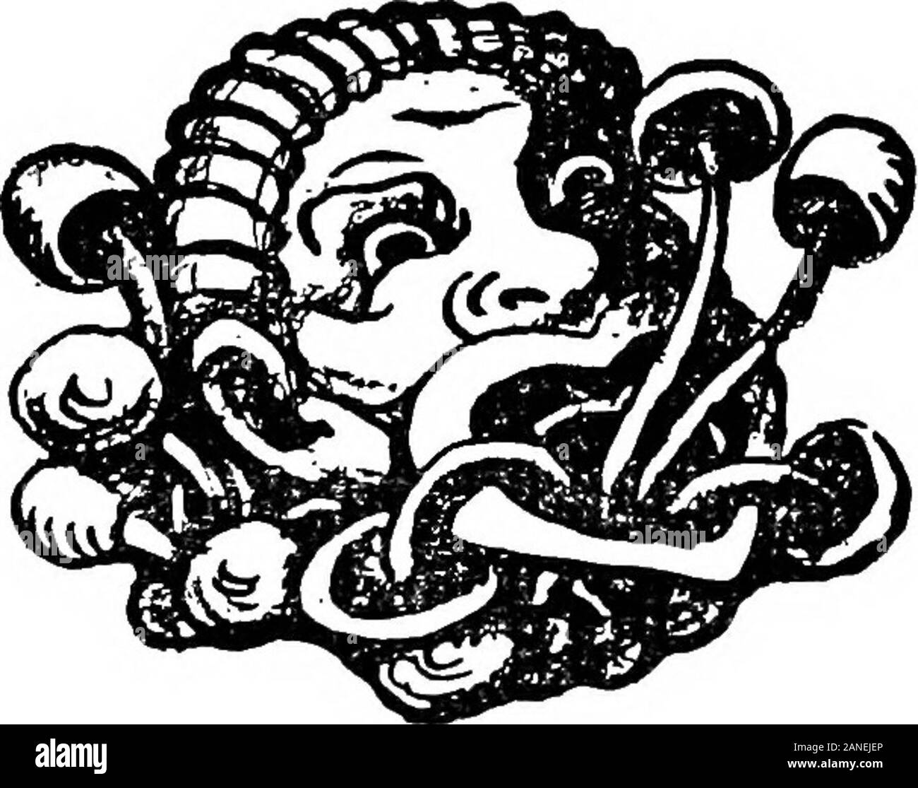 Dumb pipes Black and White Stock Photos & Images - Alamy