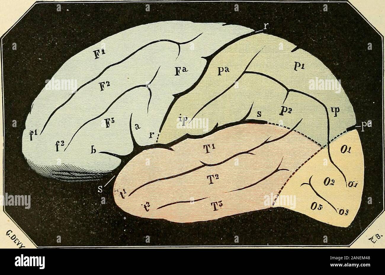 Rolande hi-res stock photography and images - Alamy