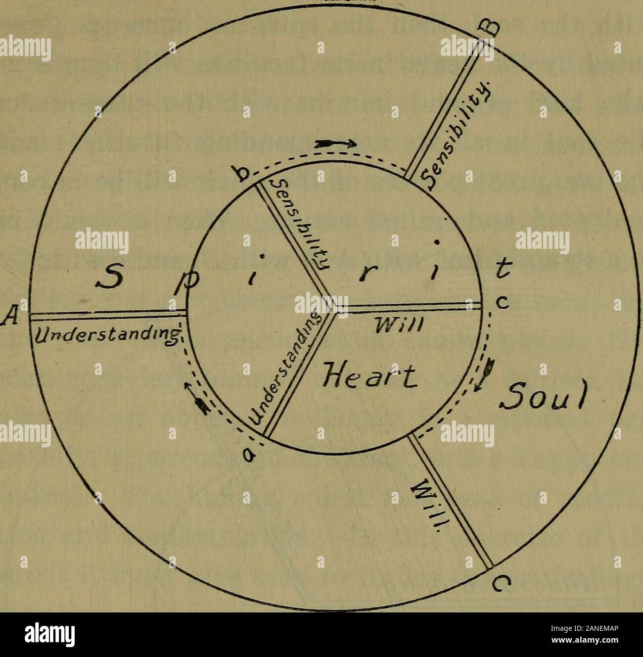 What is man? .. . art participates. In the exercise of mans 1) Proverbs ...