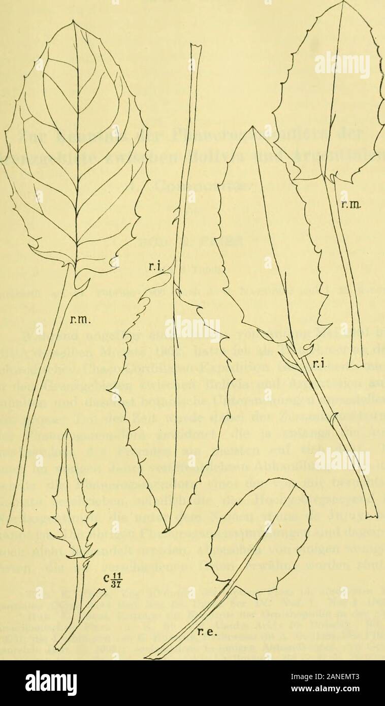 Issit hi-res stock photography and images - Alamy