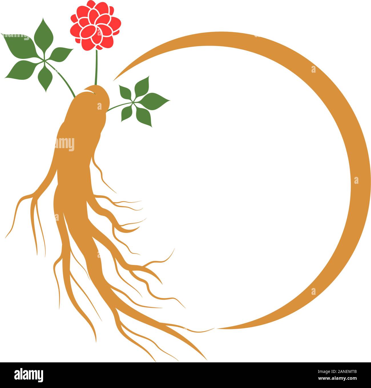 Ginseng vector icon illustration design template Stock Vector Image ...