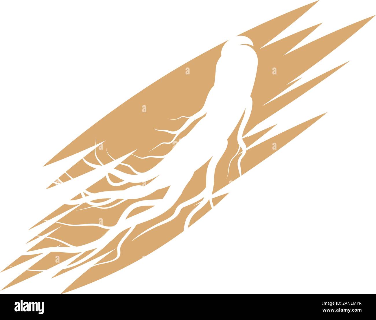 Ginseng vector icon illustration design template Stock Vector Image ...