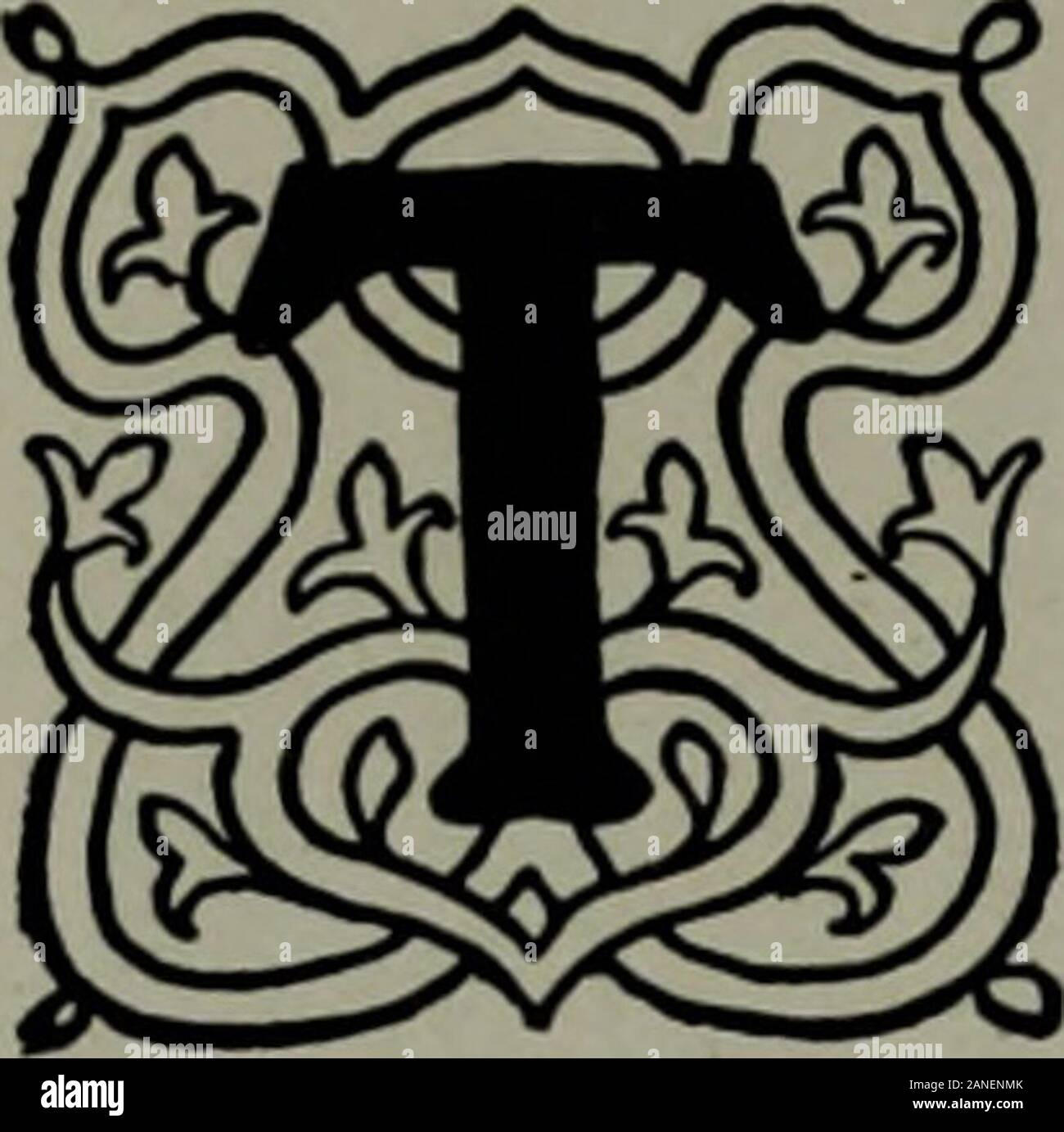 Compositional Unity In Photography