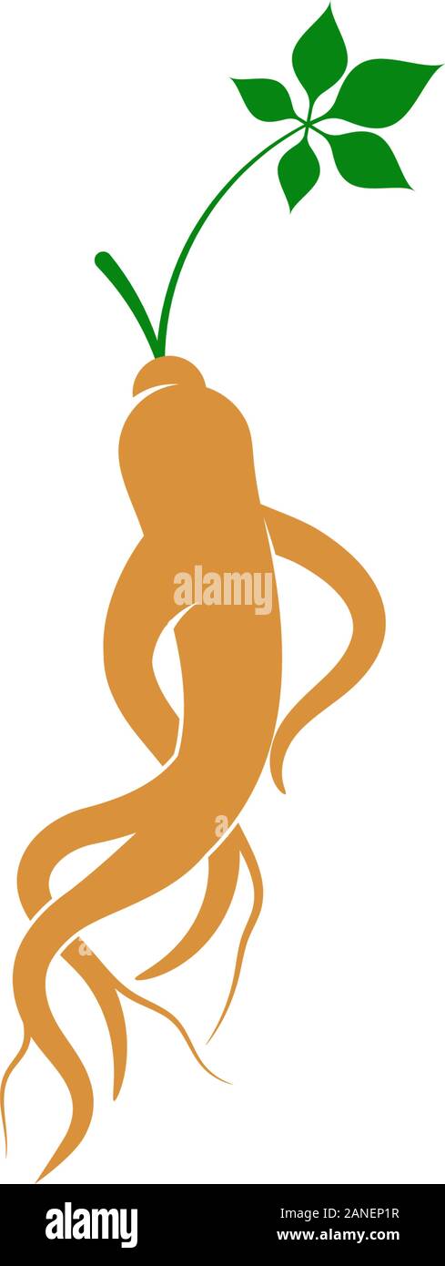 Ginseng vector icon illustration design template Stock Vector Image ...