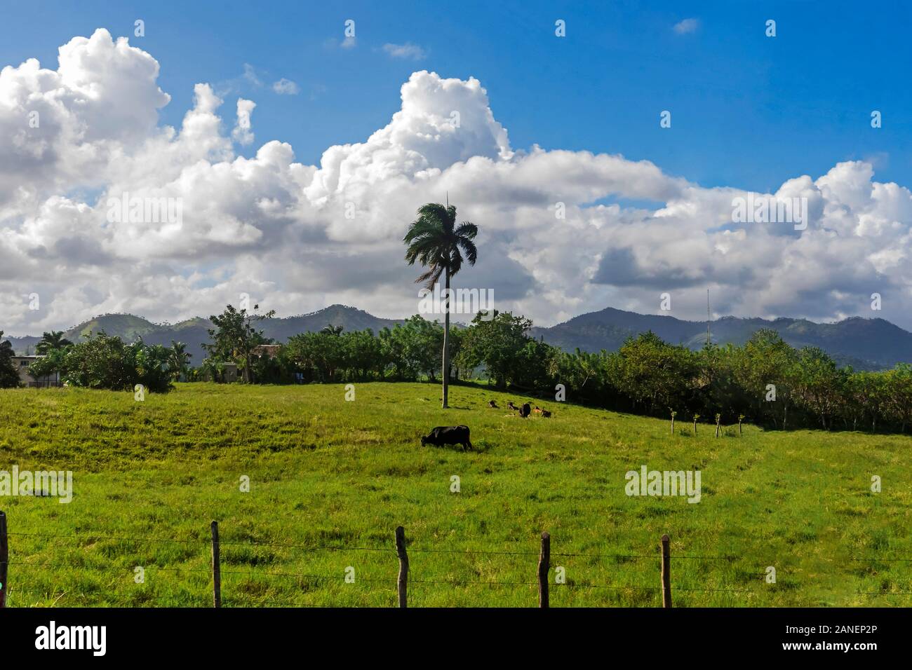 Dominican Landscape, Punta Cana , Dominican Republic Stock Photo - Alamy
