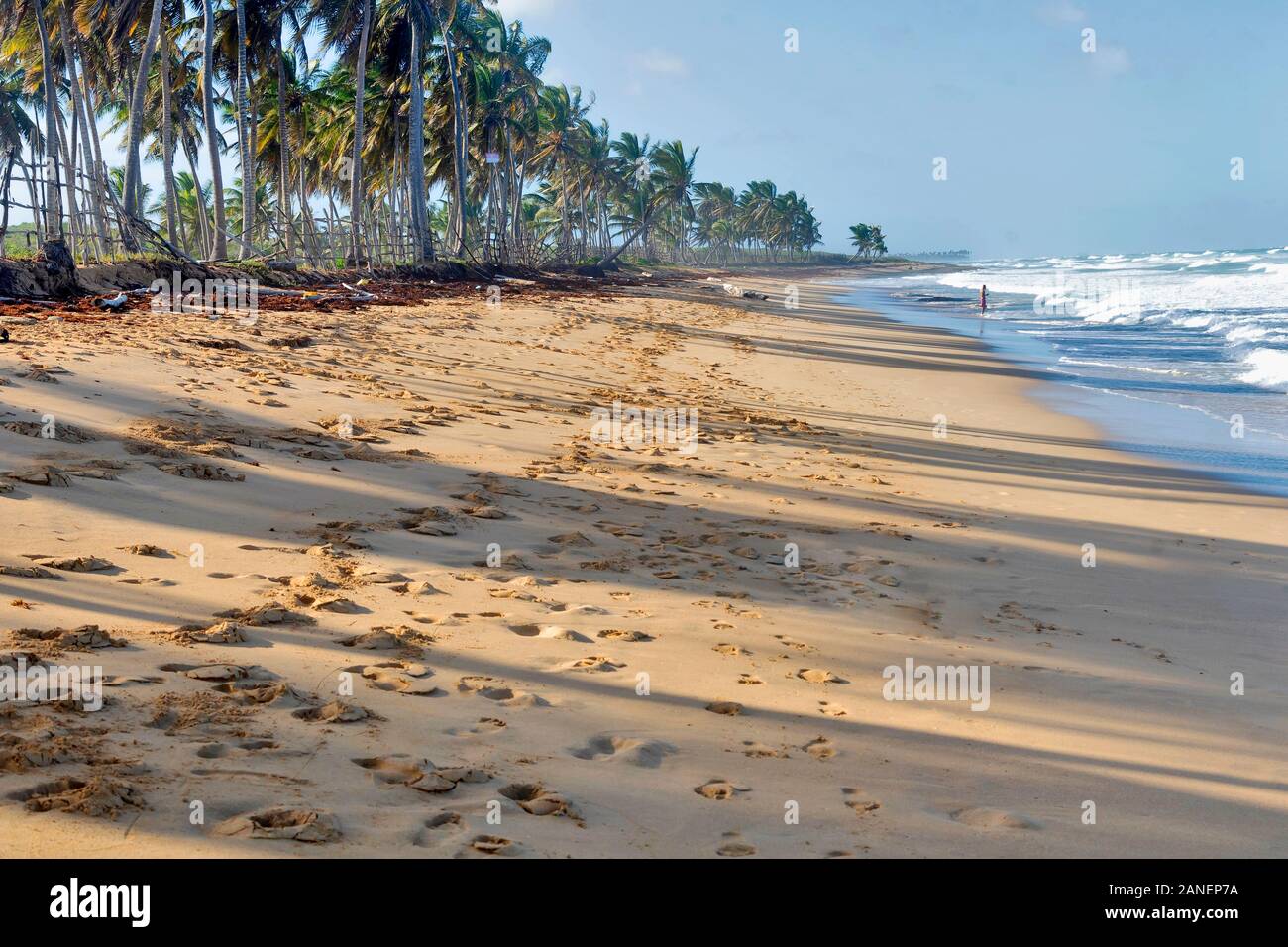 Macao Beach Punta Cana, Dominican Republic Stock Photo - Alamy