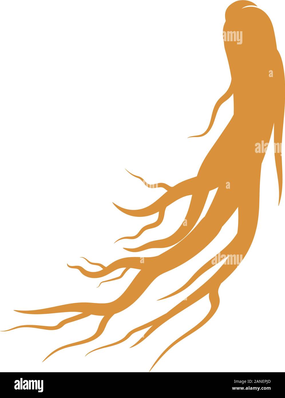 Ginseng vector icon illustration design template Stock Vector Image ...