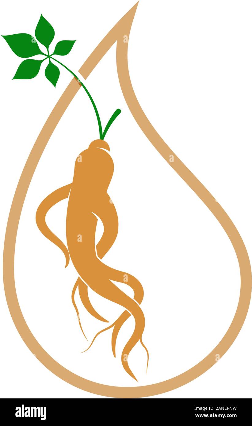 Ginseng vector icon illustration design template Stock Vector Image ...