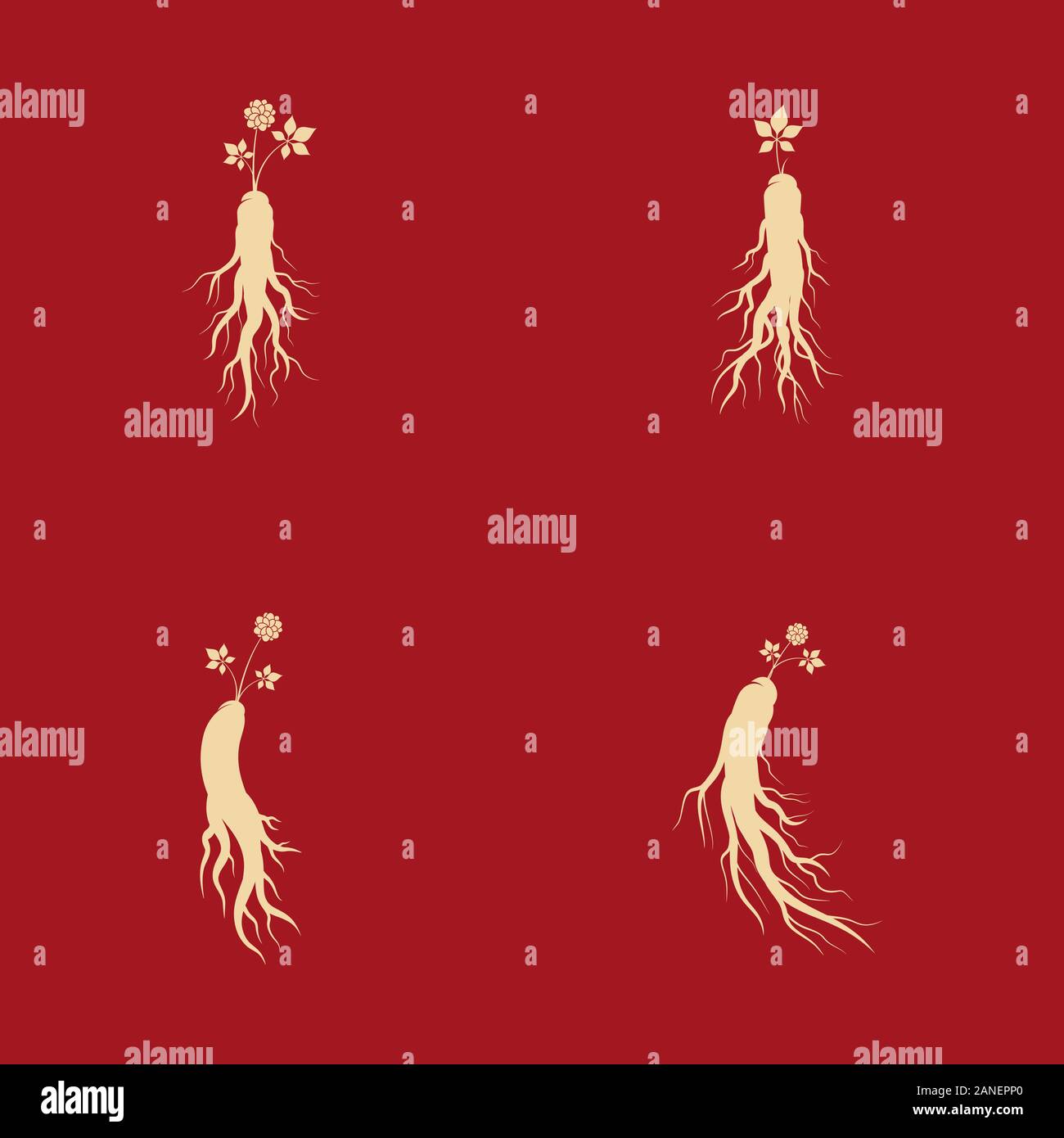 Ginseng vector icon illustration design template Stock Vector Image ...