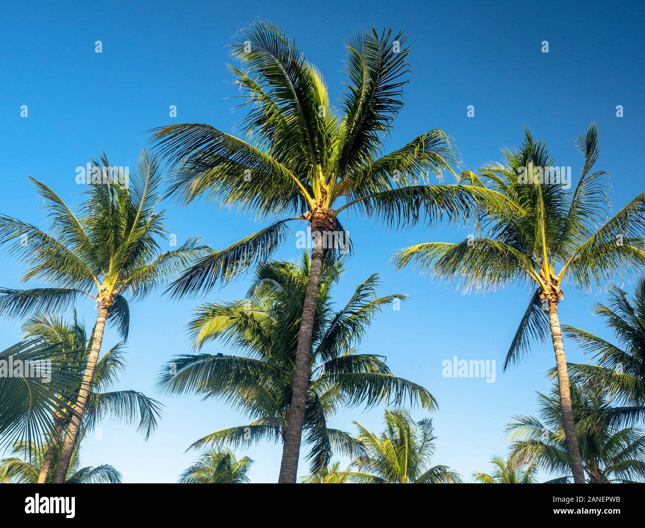 Art Deco Miami High Resolution Stock Photography and Images - Alamy
