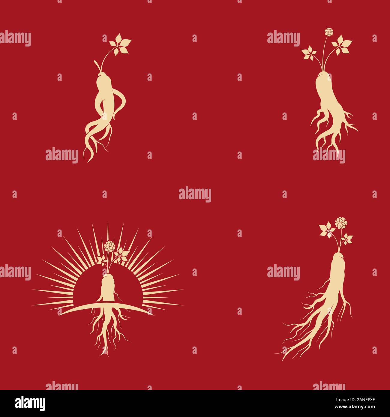 Ginseng vector icon illustration design template Stock Vector Image ...