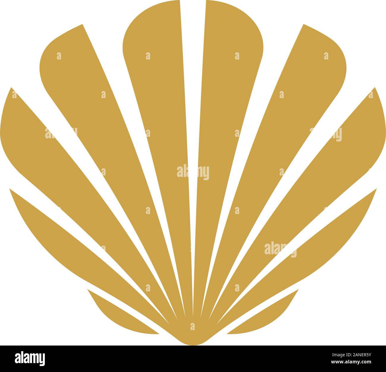 Pearl shell vector vectors hi-res stock photography and images - Alamy
