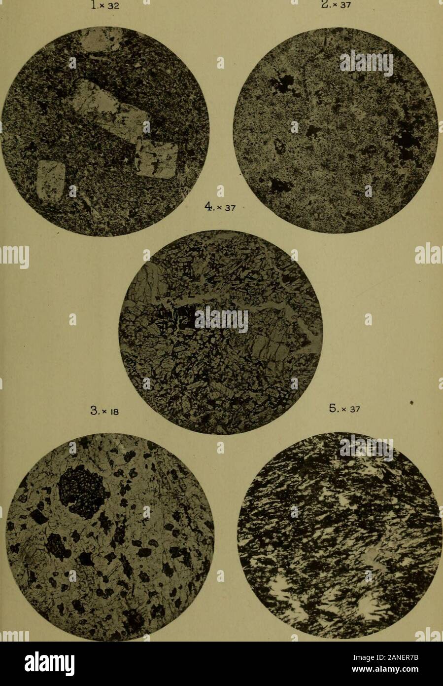 Quartz trachyte hi-res stock photography and images - Alamy