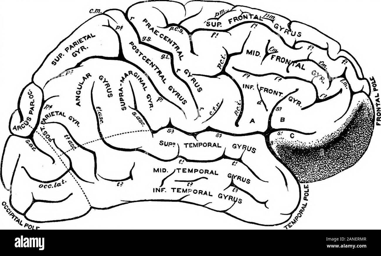 Andupward hi-res stock photography and images - Alamy