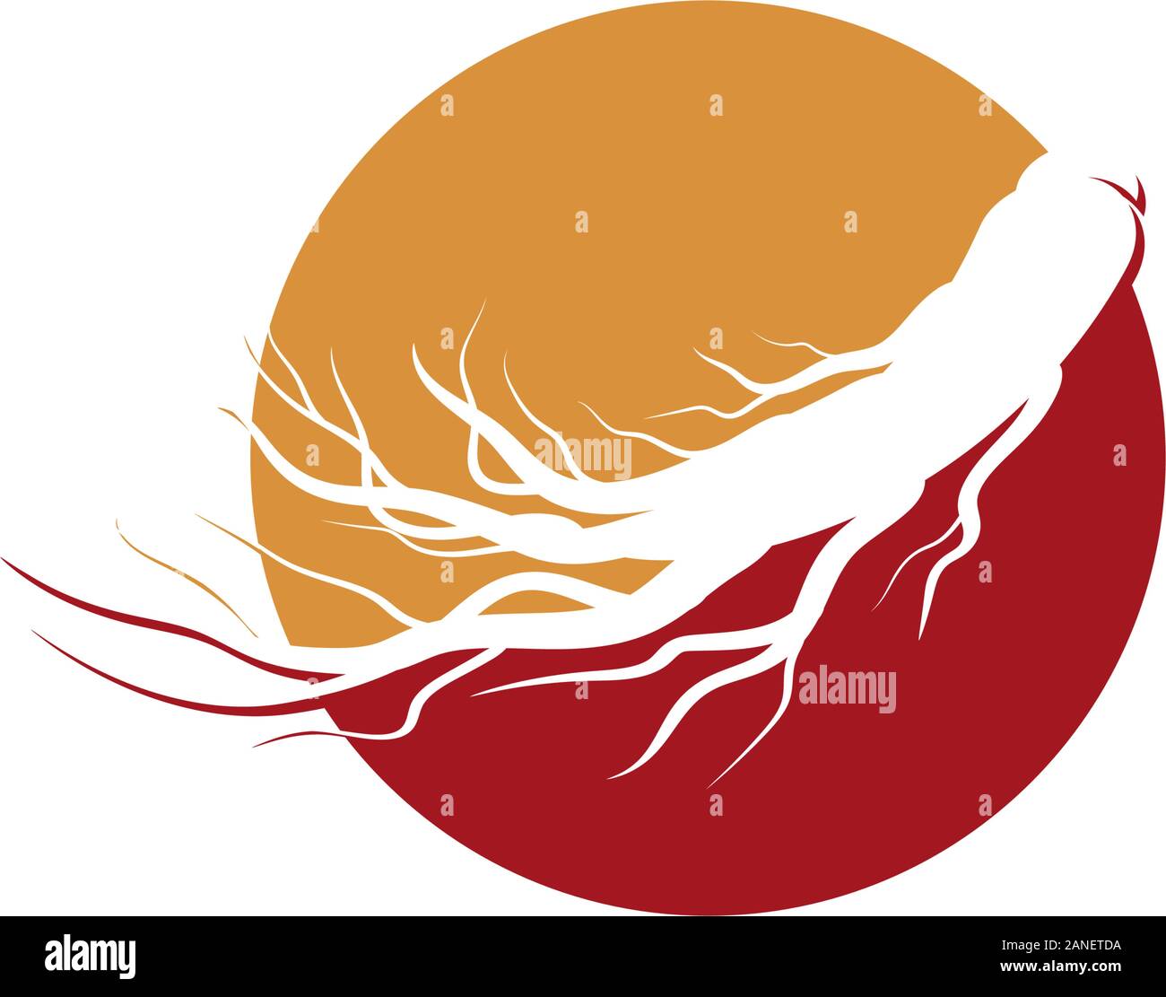 Ginseng vector icon illustration design template Stock Vector Image ...