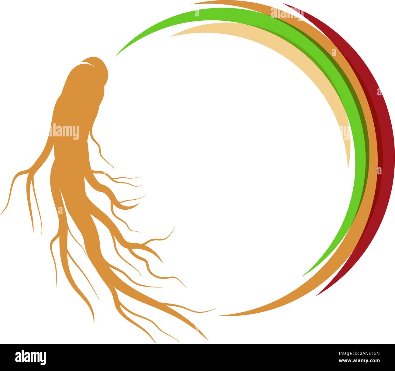 Ginseng vector icon illustration design template Stock Vector Image ...