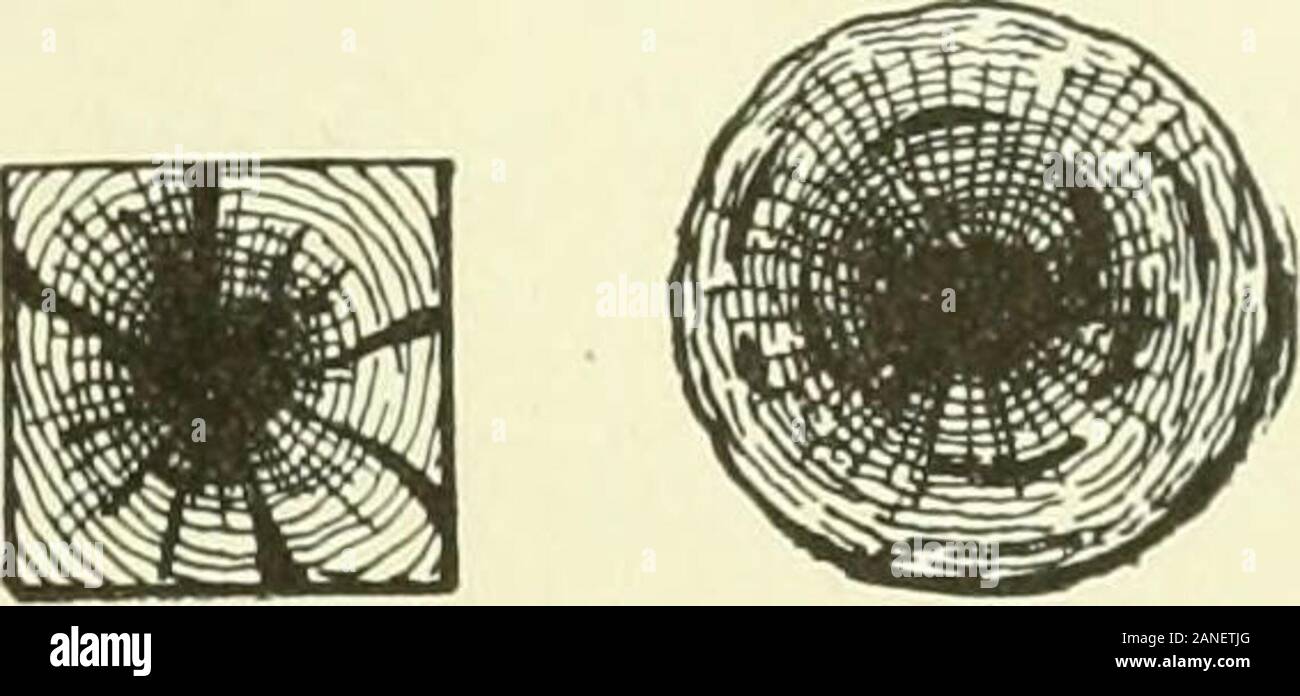 Coal tar preparations hi-res stock photography and images - Alamy