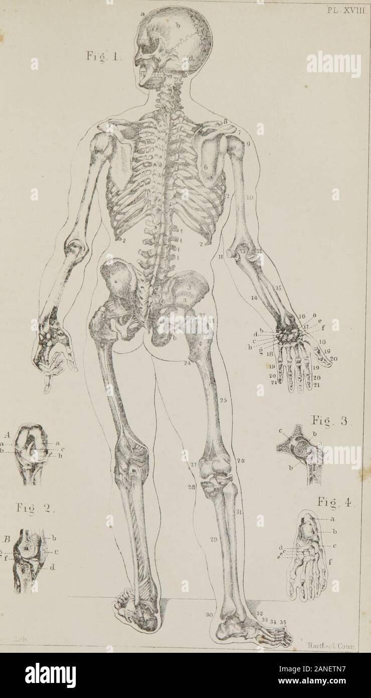 Class-book of physiology : for the use of schools and families ...