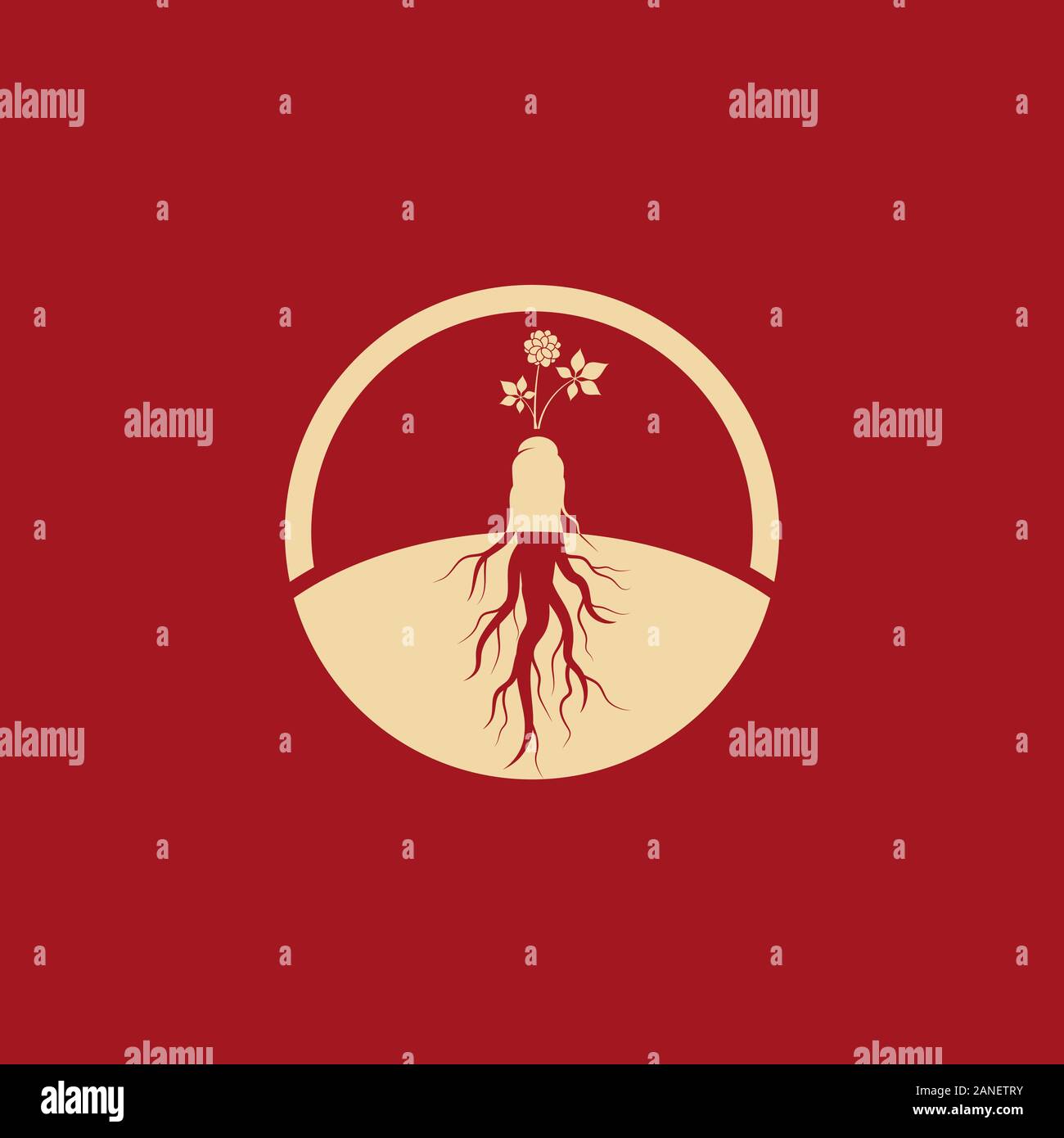 Ginseng vector icon illustration design template Stock Vector Image ...
