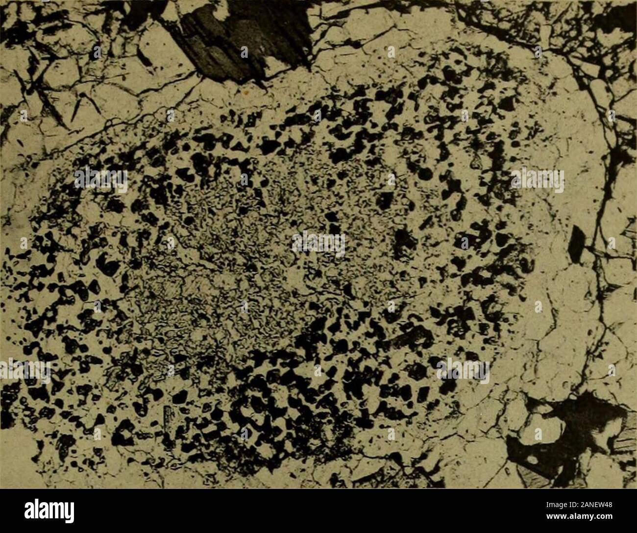 Pl 291 hi-res stock photography and images - Alamy