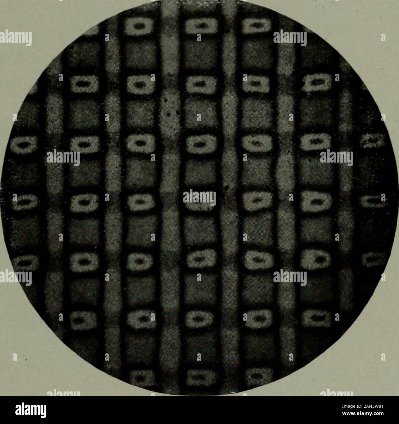 Mosaic screen plate hi-res stock photography and images - Alamy