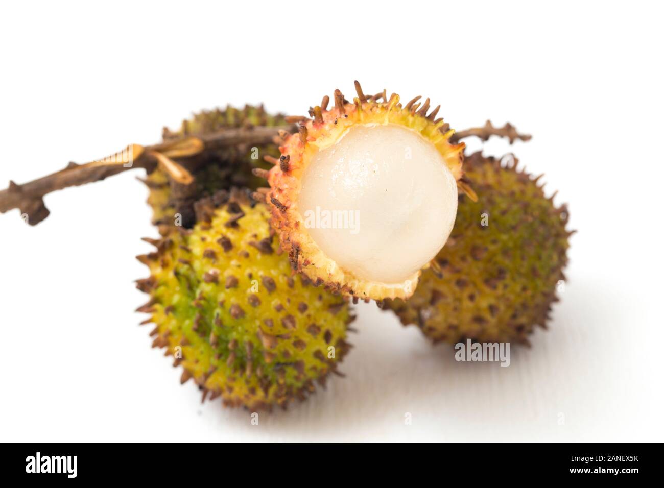 Rambutan Fruit ( Nephelium lappaceum ) - Rambutan fruit is a fruit ...