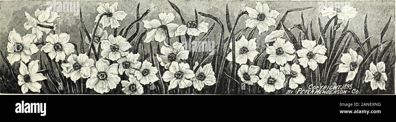 Jfjf hi-res stock photography and images - Alamy