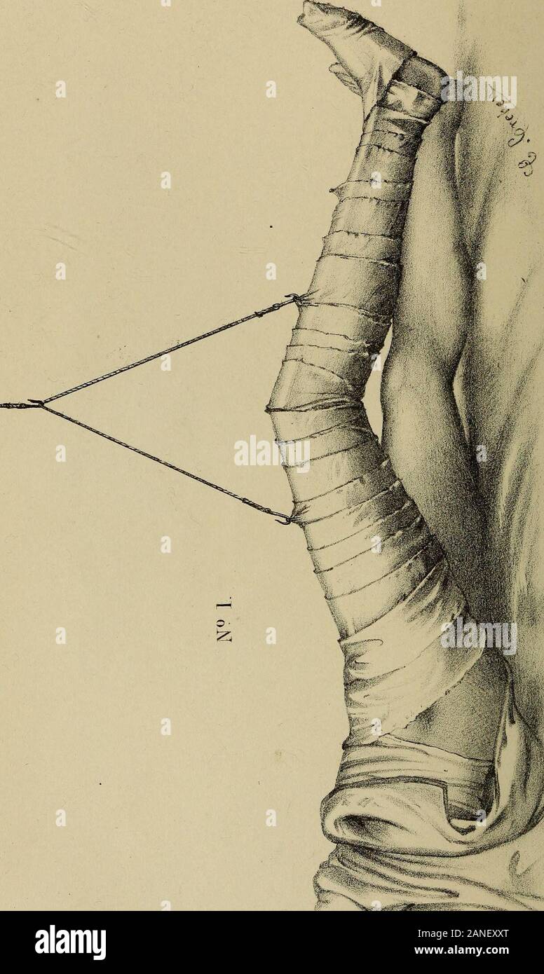 The Maryland and Virginia medical journal . .^^mmw ...