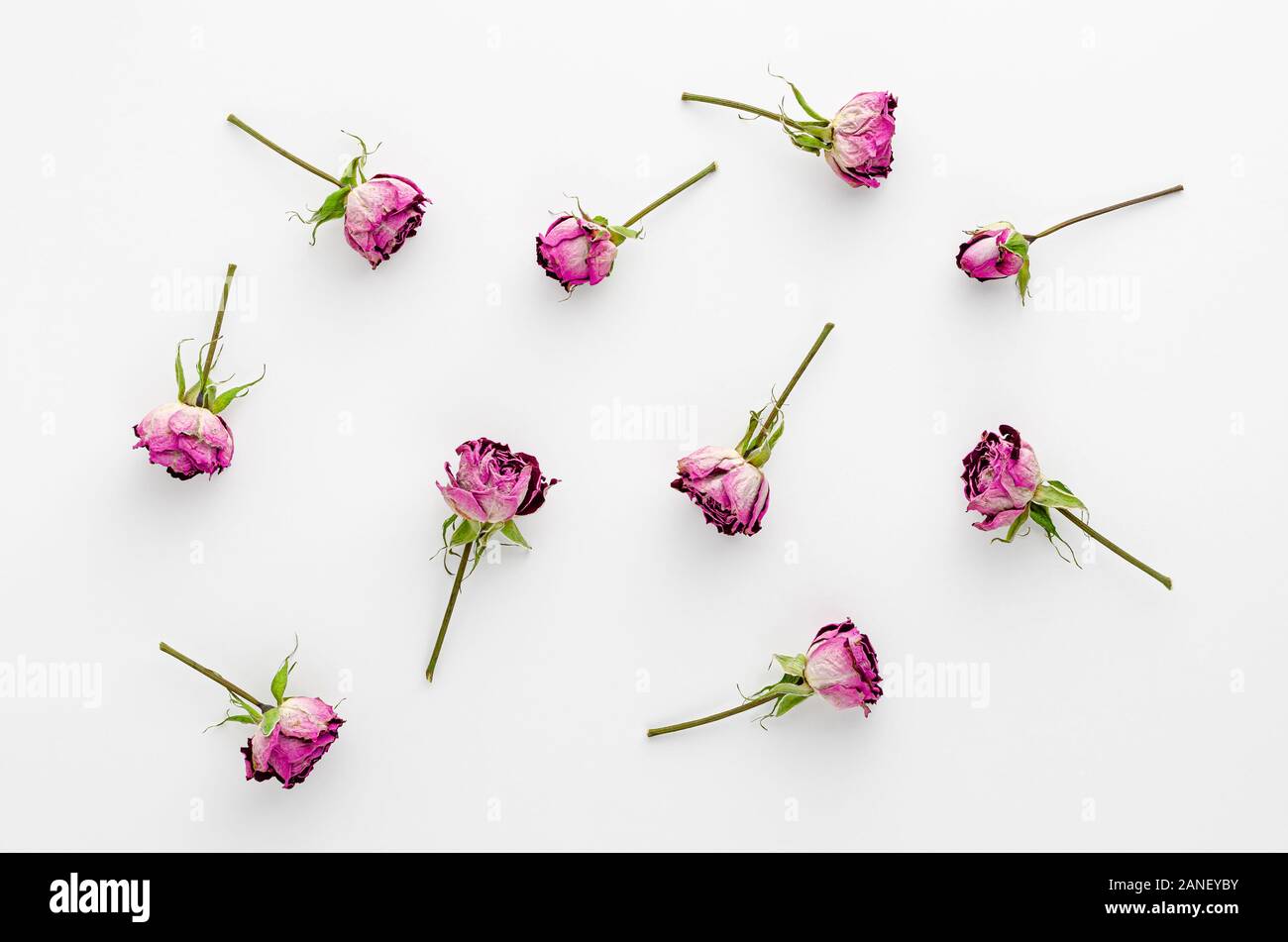 Vintage floral background made of dried roses on white background. Flat ...