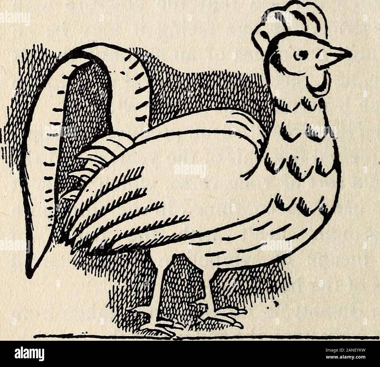 Cornwall adder hi-res stock photography and images - Alamy