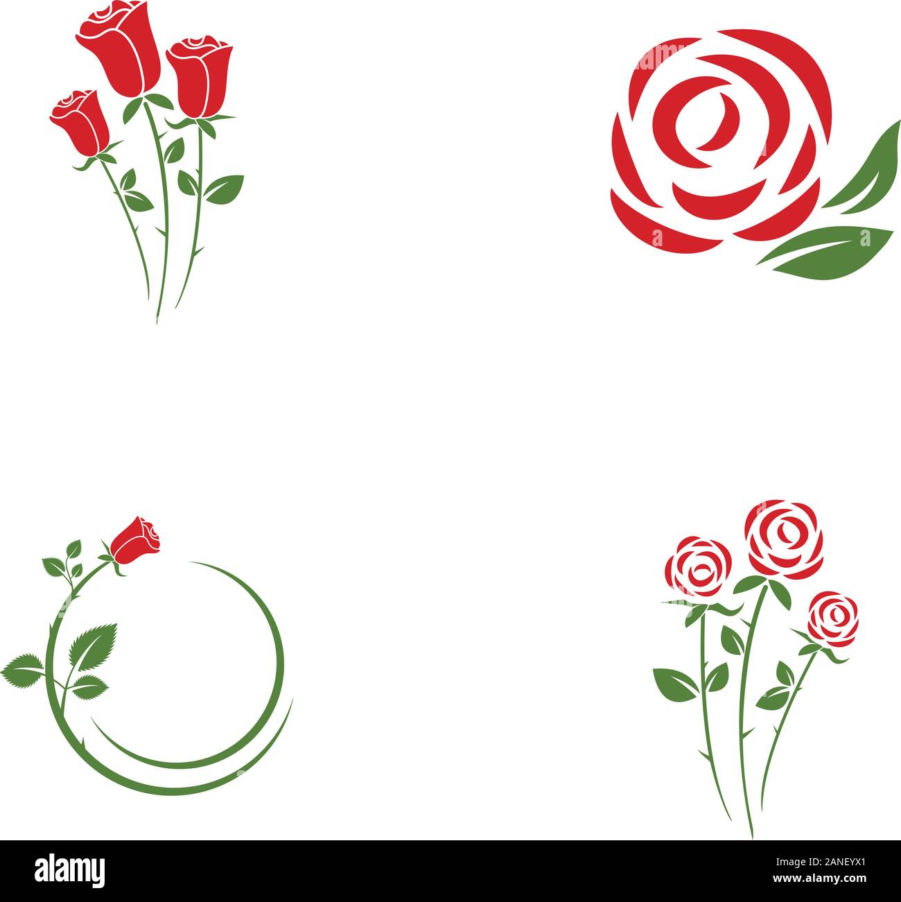 Beauty rose flower vector icon design template Stock Vector Image & Art ...