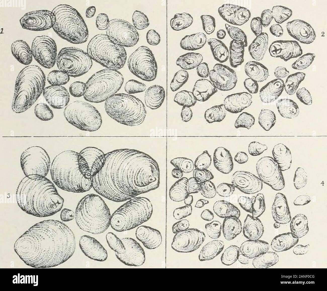 Decomposed reaction hi-res stock photography and images - Alamy
