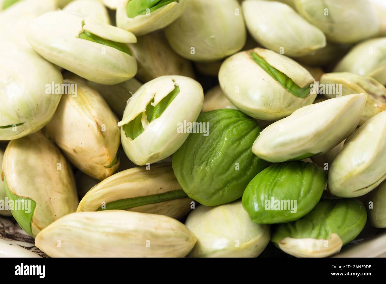 Parkia speciosa ( petai, bitter bean, twisted cluster bean, stinker or ...