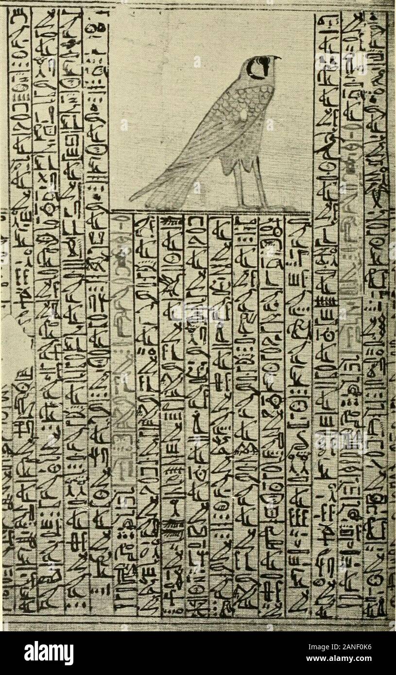 Papyrus of ani scribe hi-res stock photography and images - Alamy