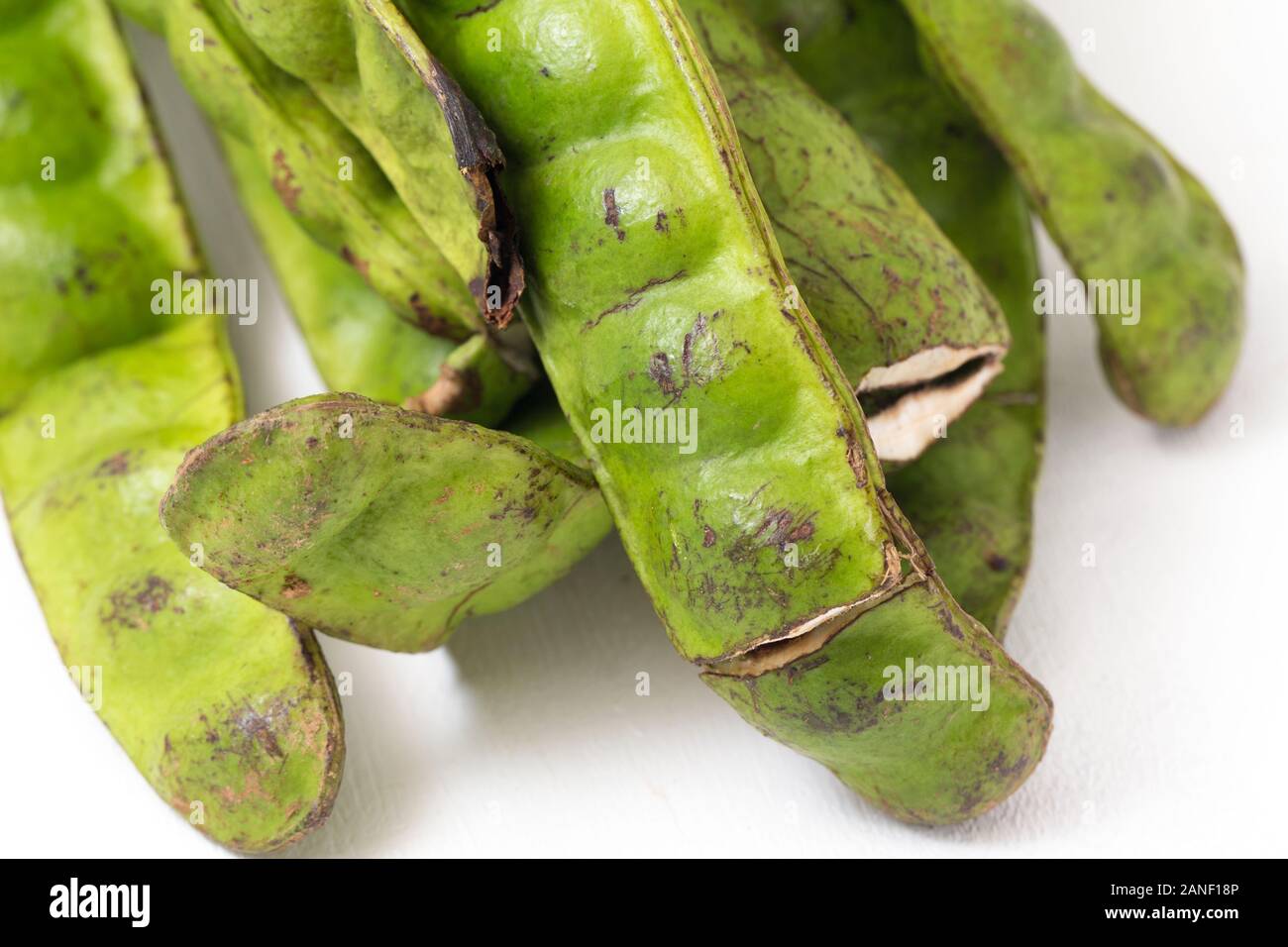 Parkia speciosa ( petai, bitter bean, twisted cluster bean, stinker or ...