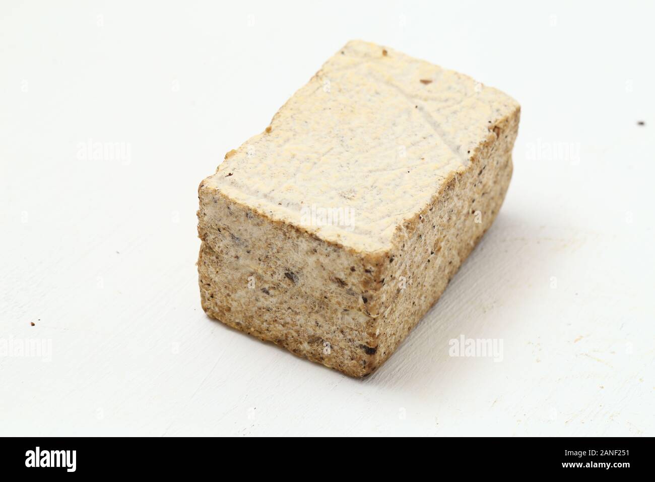 Tempe gembus hi-res stock photography and images - Alamy