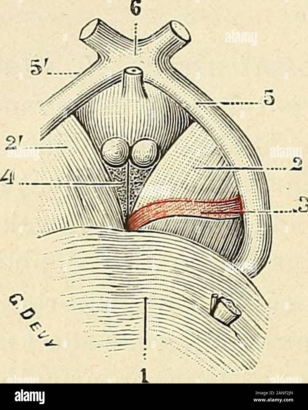 Sillons hi-res stock photography and images - Alamy