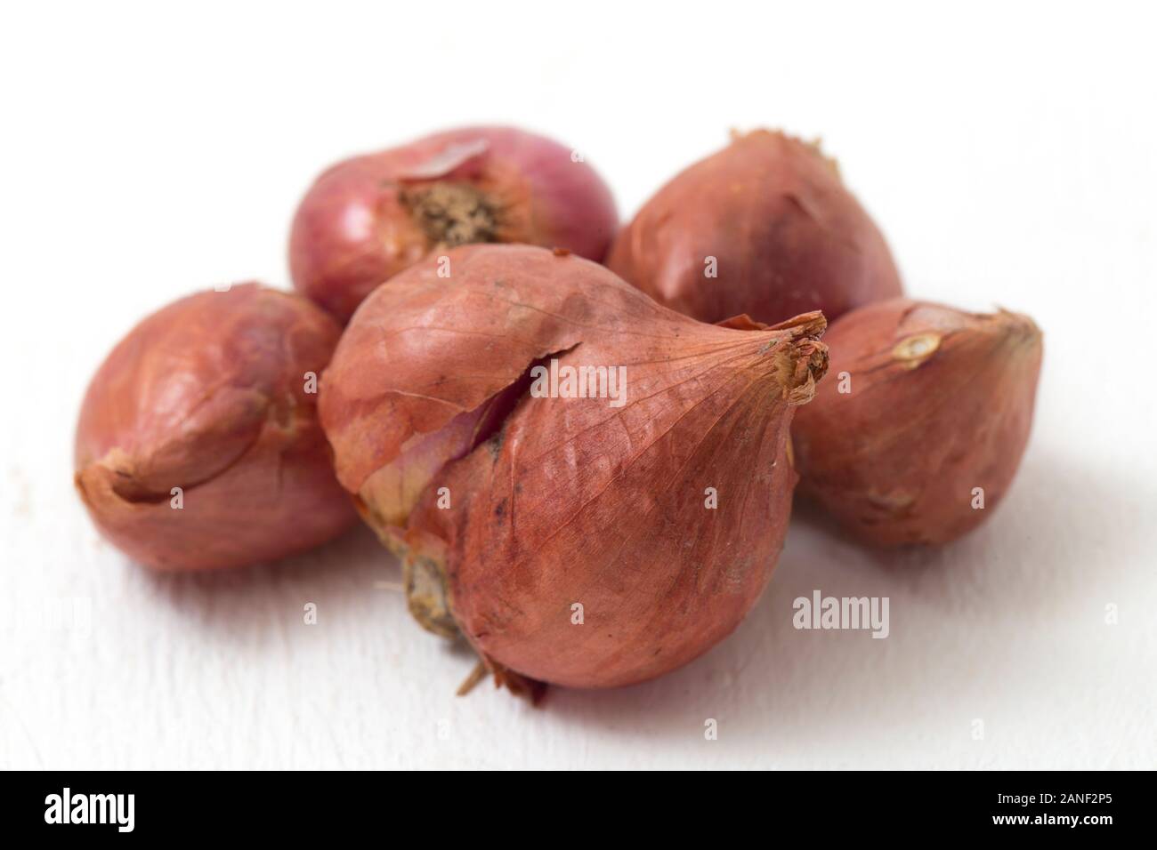 Fresh shallots isolated on white background Stock Photo - Alamy
