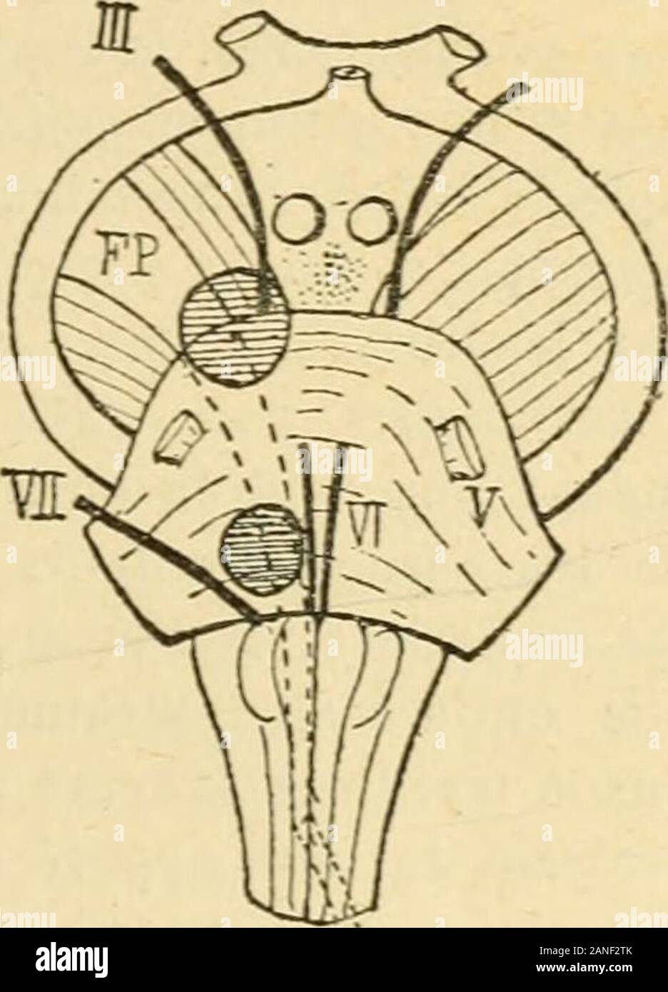 Abolis hi-res stock photography and images - Alamy